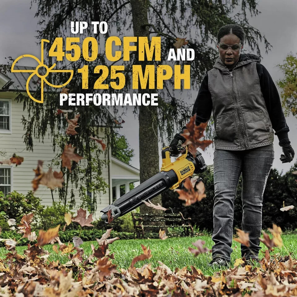 DEWALT DCBL722P1 20V MAX XR Brushless Li-Ion Handheld Blower Kit (5 Ah ...