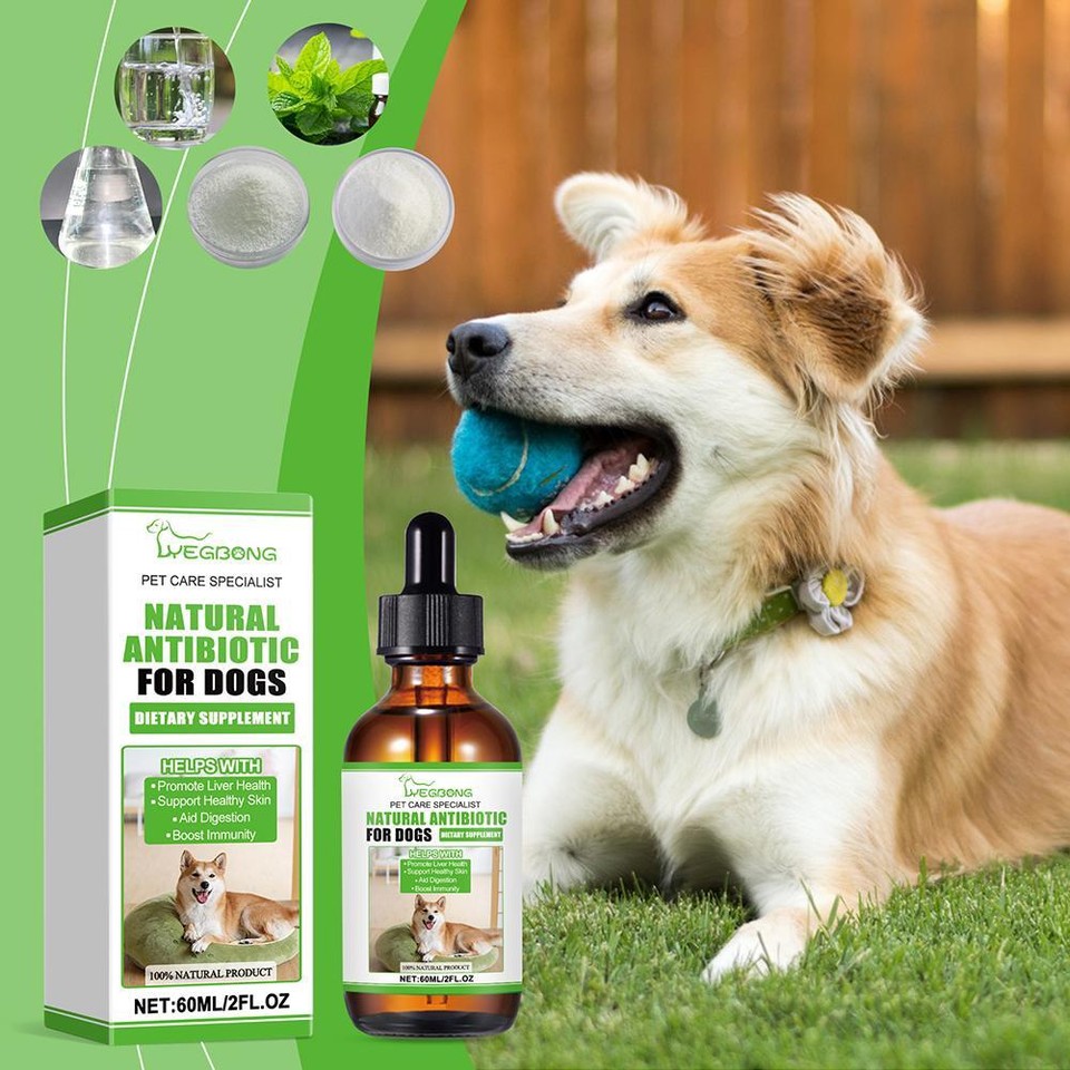 Dog Antibiotics, Antibiotics for Dogs, Natural Dog Antibiotics Drops ...