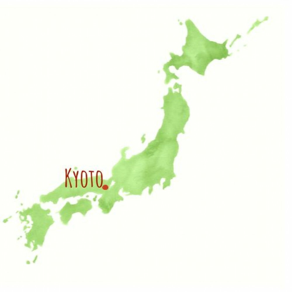 Kyoto Enso Maru Pattern Noren Door curtain Roketsu dye Brown 85x120cm ...