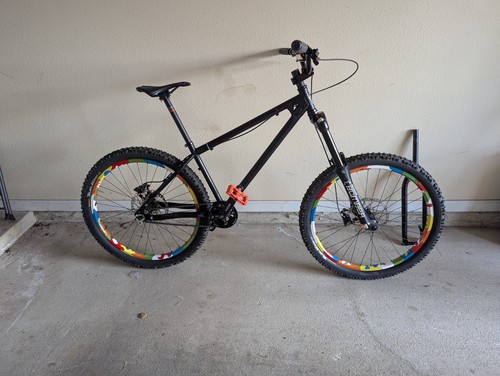 2005 Azonic Steelhead Pro XL DJ FR Hardtail w/Two Forks, New Wheelset ...