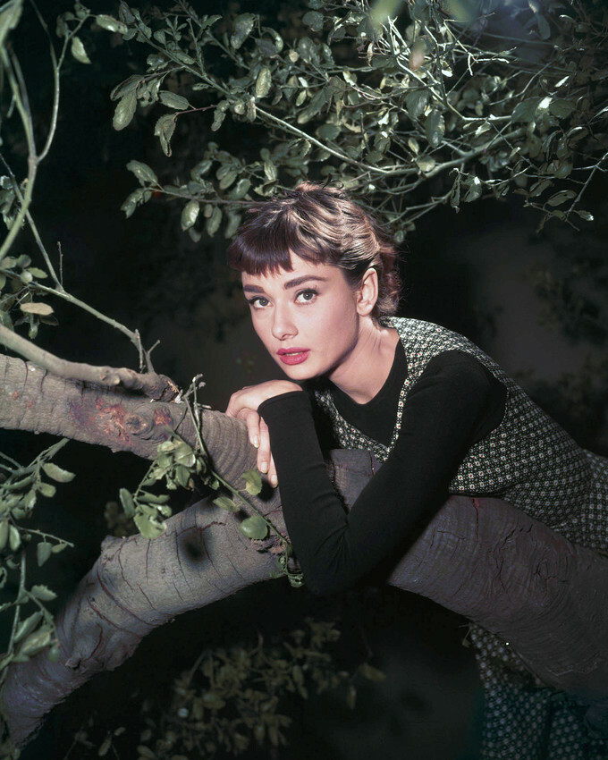Audrey Hepburn Sabrina Color