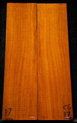 Chakte Viga #17 Knife Scales 5"x1.2-1.4"x 5/16" see 100 species in my ...