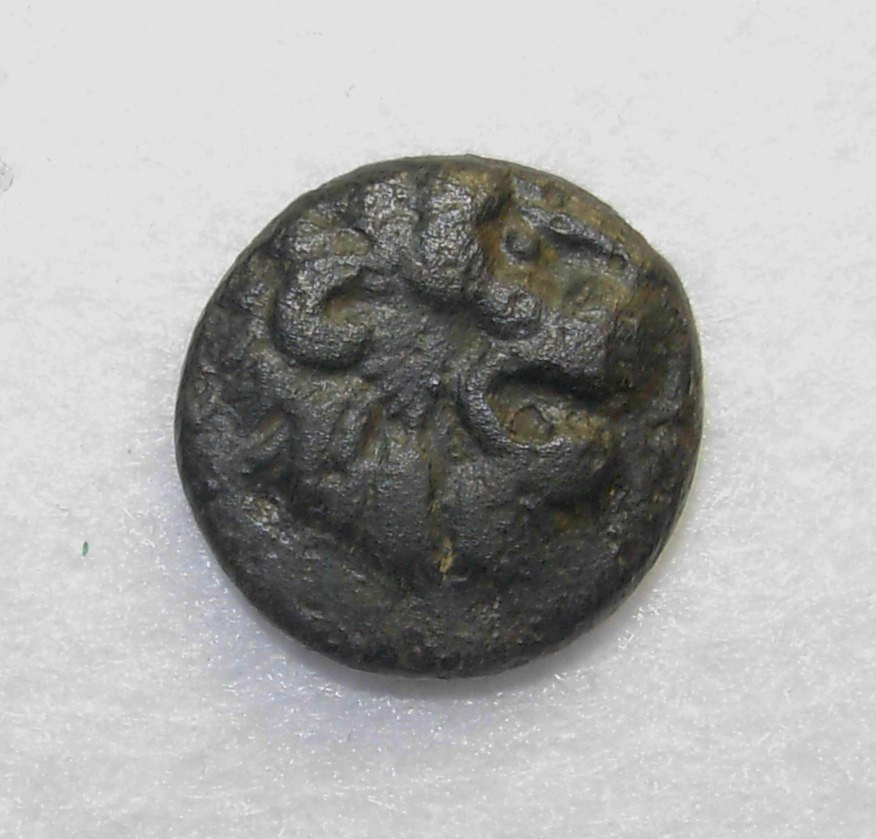 Thrace, Lysimacheia, AE 15, 309-220 BC, Roaring Lion / Grain Ear, VF | eBay