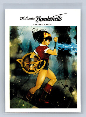 2017 Cryptozoic DC Bombshells cover card H05 | eBay