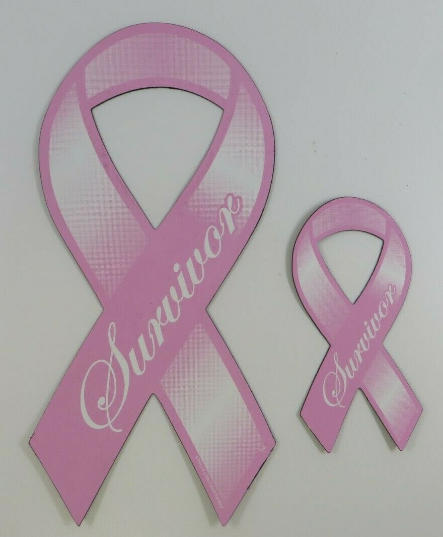 Lot of 2 Pink Ribbon Magnet SURVIVOR Breast Cancer 2 Sizes Car Bumper ...