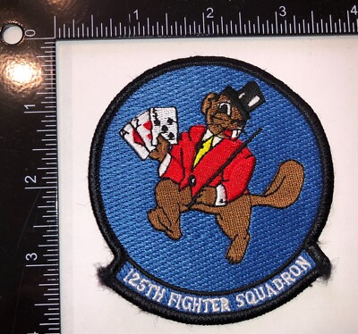 USAF US Air Force 125th Fighter Squadron Patch | eBay