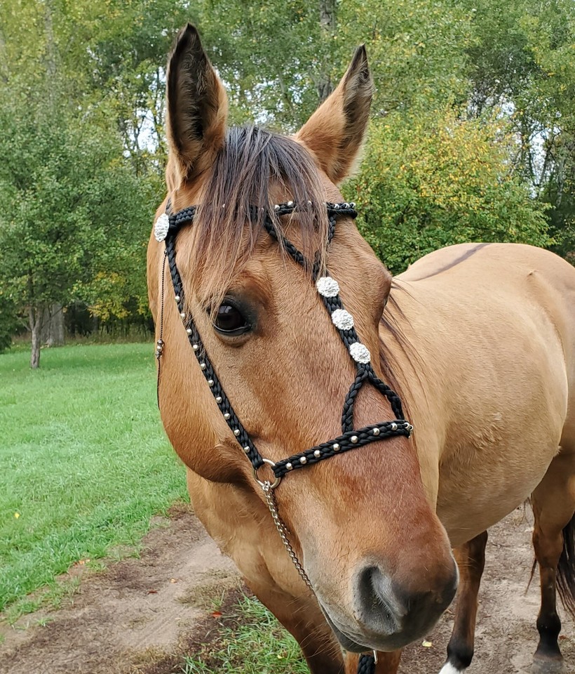 Hand Braided Show Halter/lead Browband, Bling Conchos, Horse Tack ...