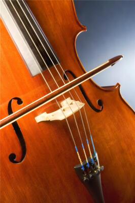 CELLO GLOSSY POSTER PICTURE PHOTO BANNER PRINT violincello string 9310 ...