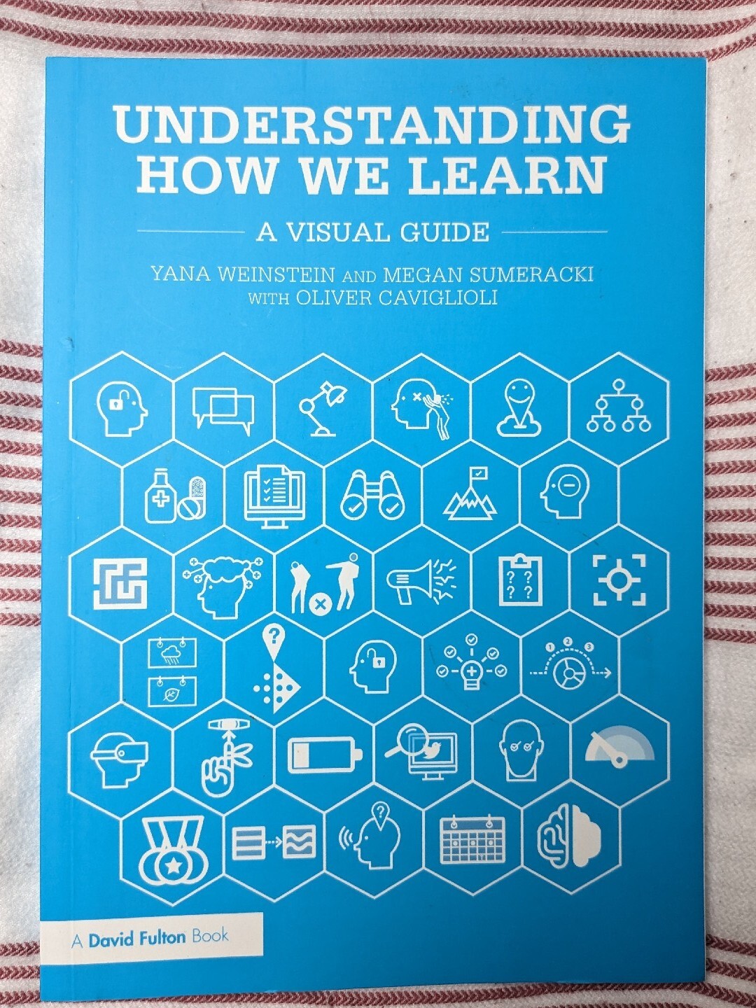 Understanding How We Learn: A Visual Guide by Yana Weinstein, Oliver ...