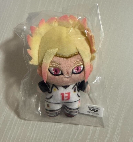 Blue Lock Howanui Mini Plush Doll Mascot Ryusei Shidou Soccer Anime ...