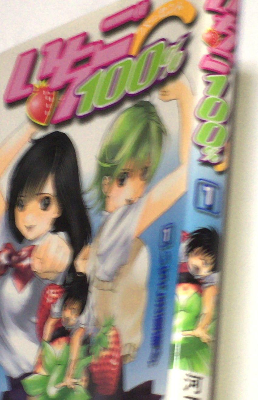 Strawberry 100% Vol.1 / 1st Edition Japanese Manga Comic Mizuki ...