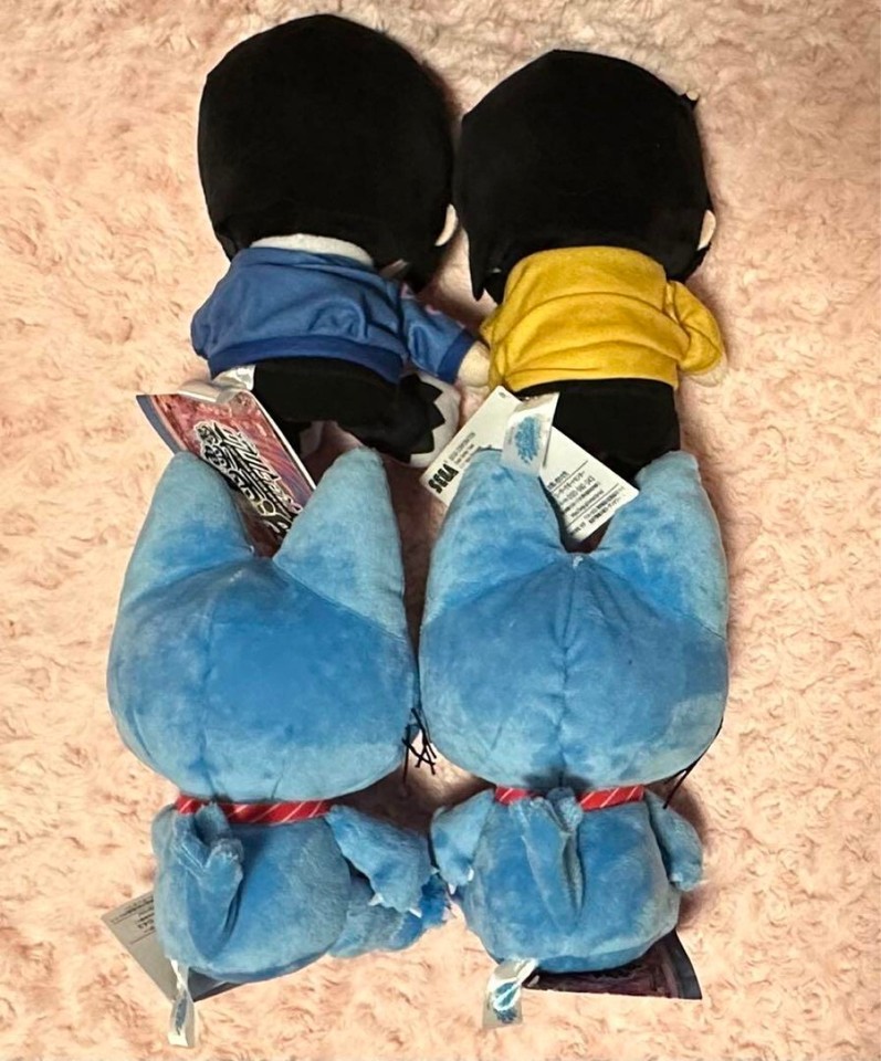 Anon-chan's electric wave Ano-chan & cat Sasaki Plush Doll Set 4 SEGA ...