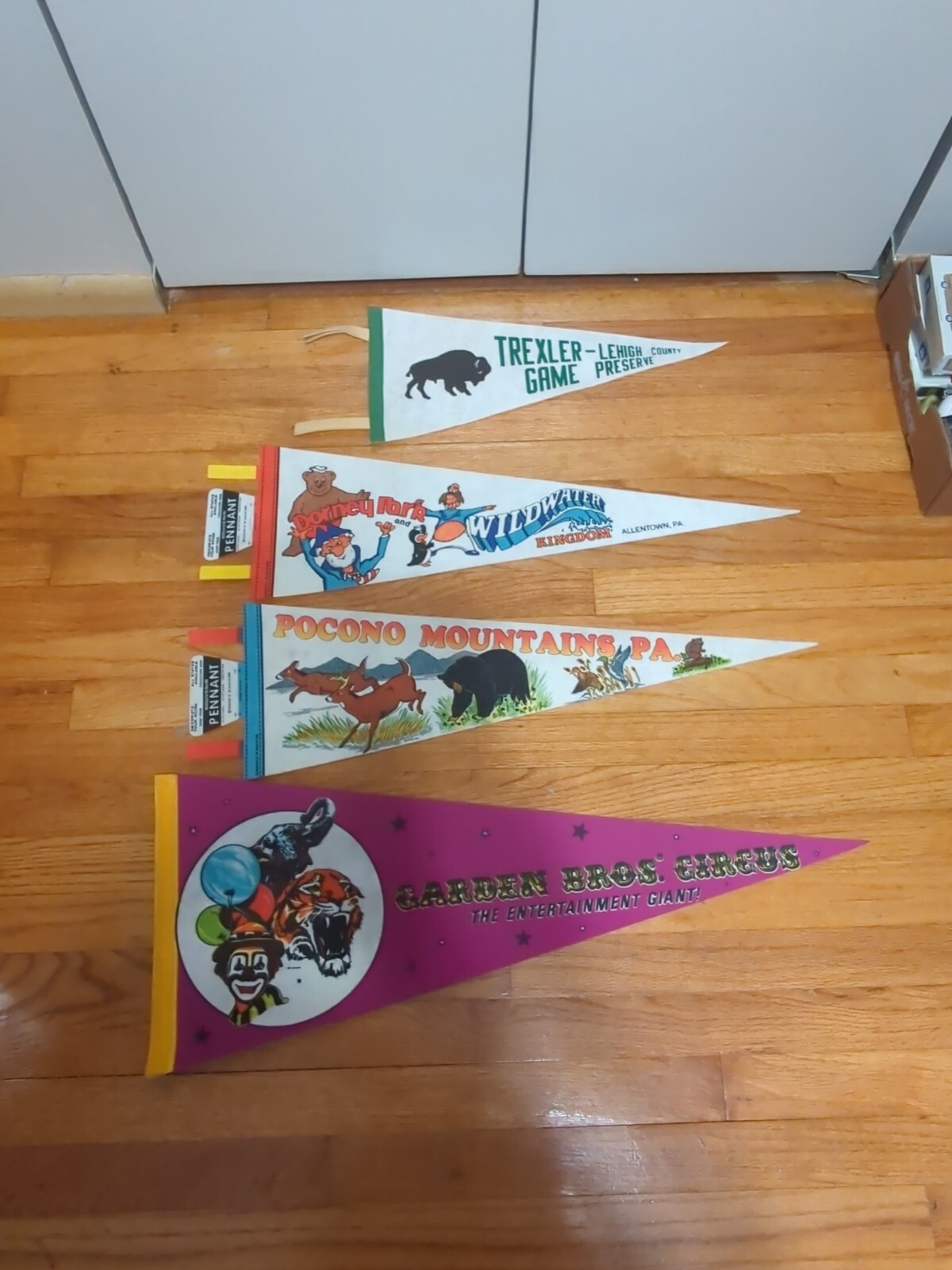 Lot of 4 Vintage Souvenir Travel Pennants. PA Attractions Dorney Park ...