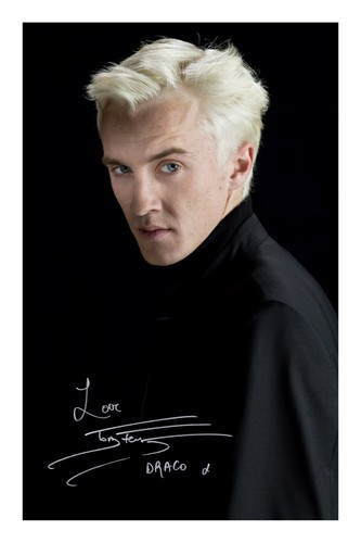 Tom Felton Draco Malfoy Signed A4 Photo Print Harry Potter Autograph ...