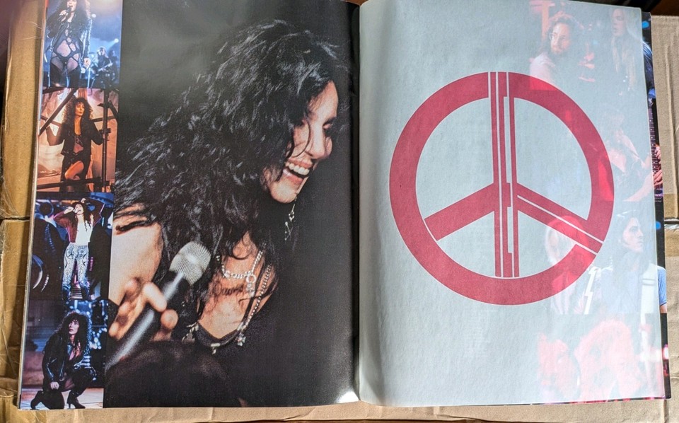 Vintage CHER Heart of Stone Concert Tour Program Booklet 1989 Souvenir ...