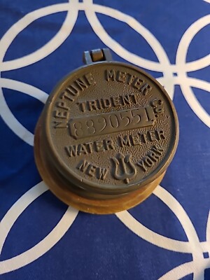 Gas & Water Meters - Neptune Trident Water Meter