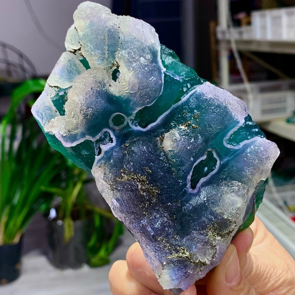 1.31LB Natural transparent purple cubic fluorite mineral sample Inner ...