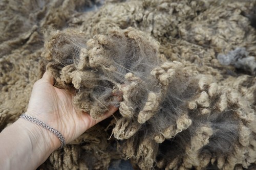 Corriedale Cross fleece Natural Grey 200g 100% Australian wool soft and ...