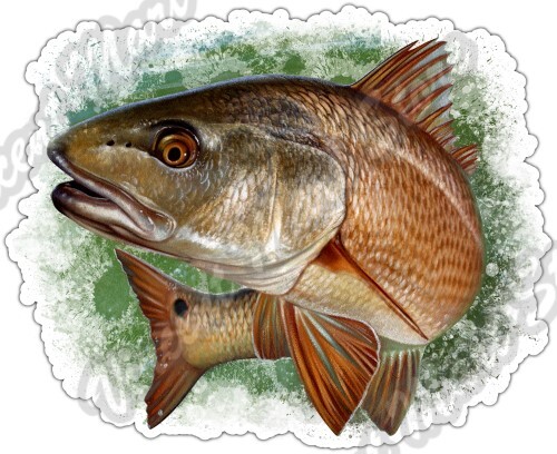 Redfish Red Fish Turn Fisherman Fishing Car Bumper Vinyl Sticker Decal ...