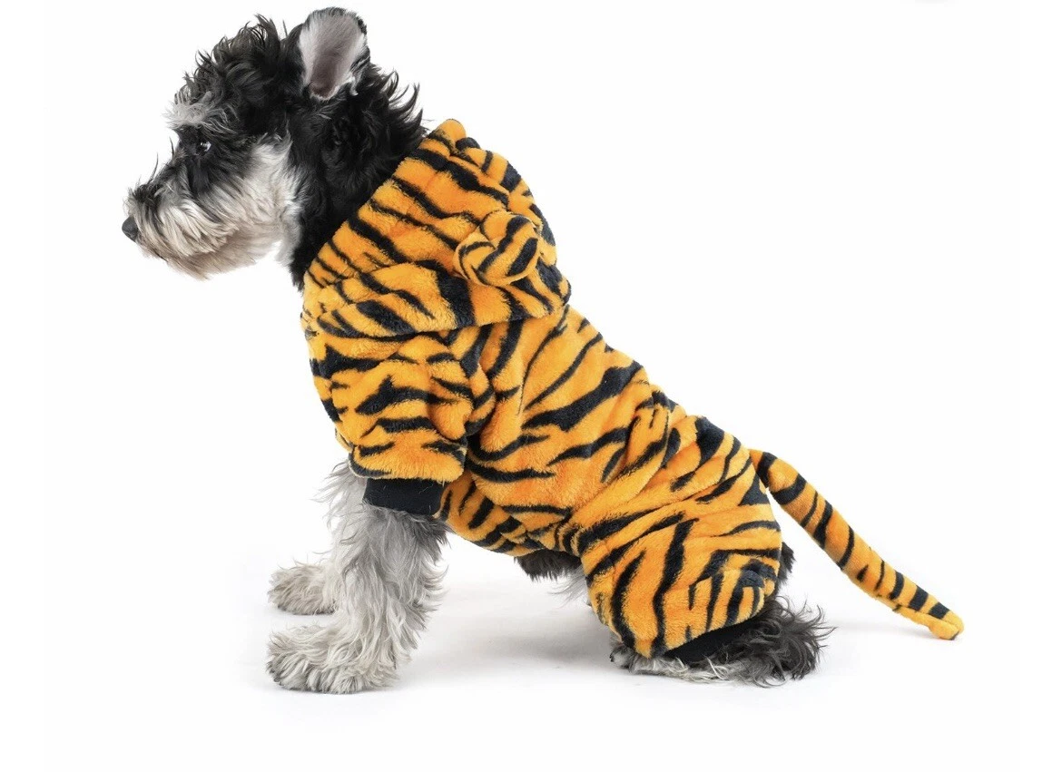 Tiger Playing With Dog