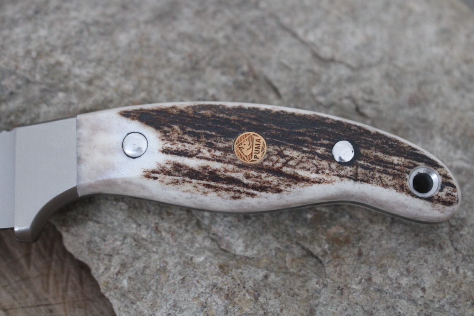 Puma Messer hunter´s companion Jagdmesser mit Hirschhorn 116394 | eBay.de