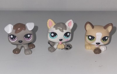Original LPS Littlest Pet Shop Petriplets Puppy : #1876 + #1877 + #1878 ...