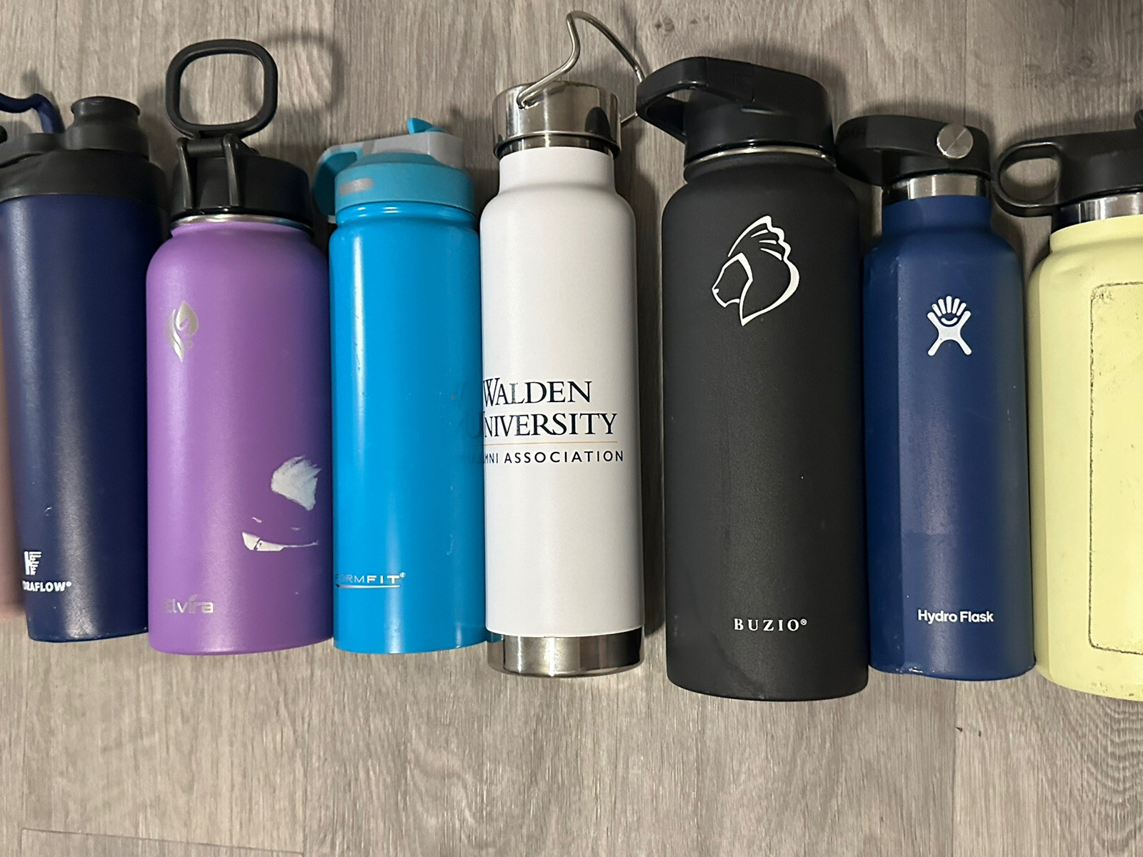 Lot of flask water jugs flask 13 flask total hydro flask buzio elvira ...