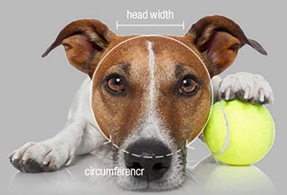 Round Brim Princess Cap Visor Hat Pet Dog Mesh Porous Sun Cap with Ear ...