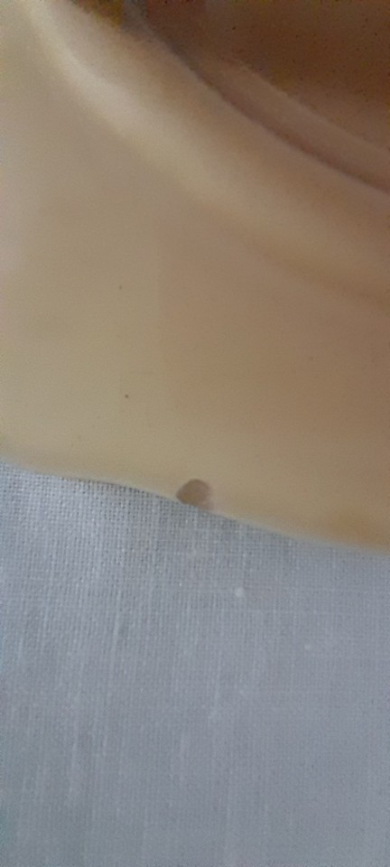 Original Clarice Cliff 9 inch leda shaped plate hand painted in the ...