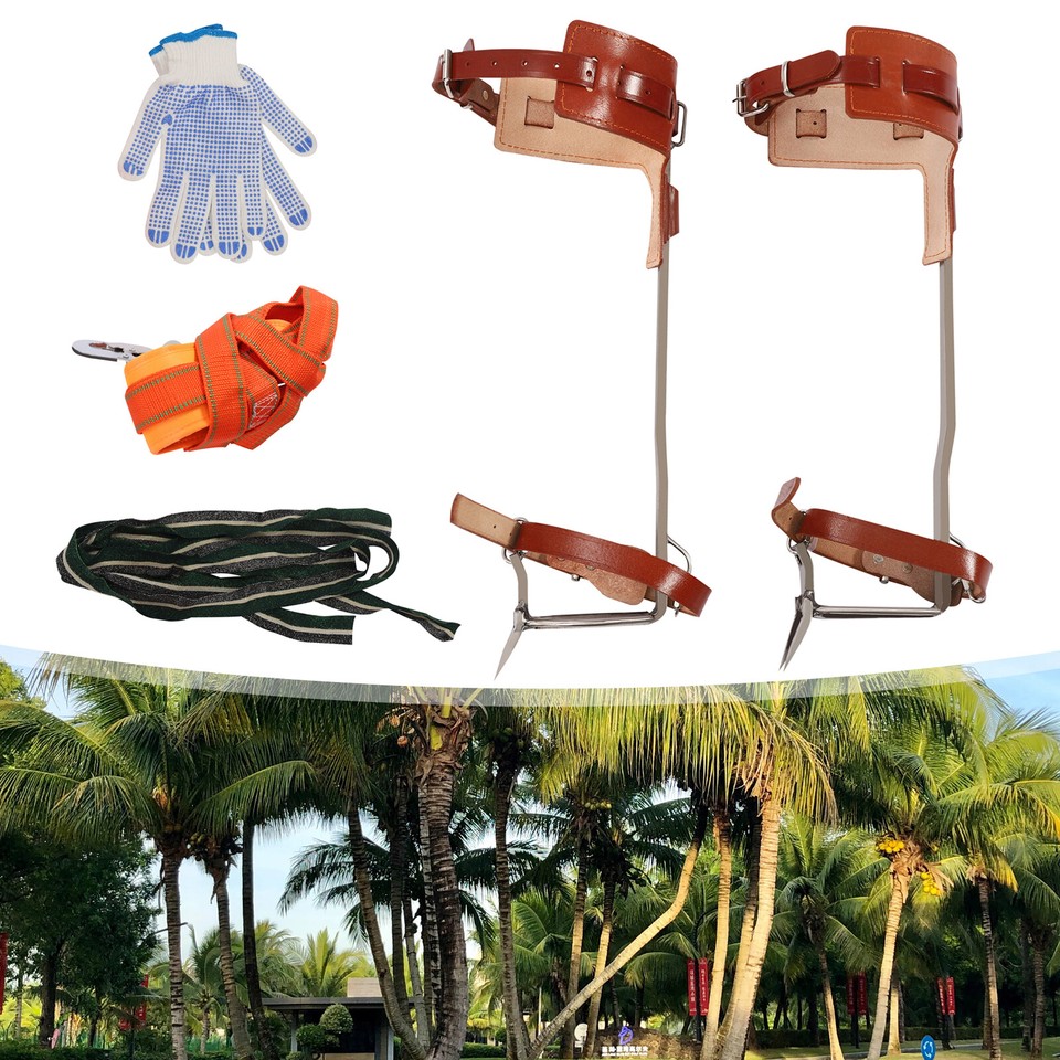 Tree Climbing Spike Set Adjustable Pole Climbing Spurs Tool Climber ...