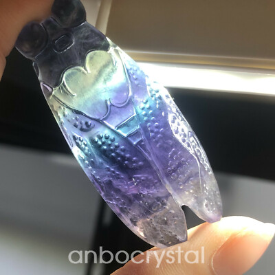 2‘’Natural Fluorite Quartz Hand Carved Cicada Skull Crystal Reiki ...