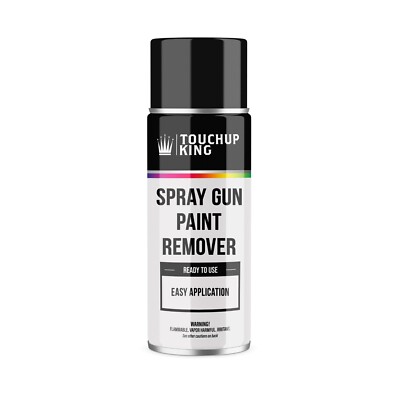Automotive Spray Gun Paint Remover | eBay