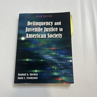 Delinquency and Juvenile Justice in American Society by Emily I ...