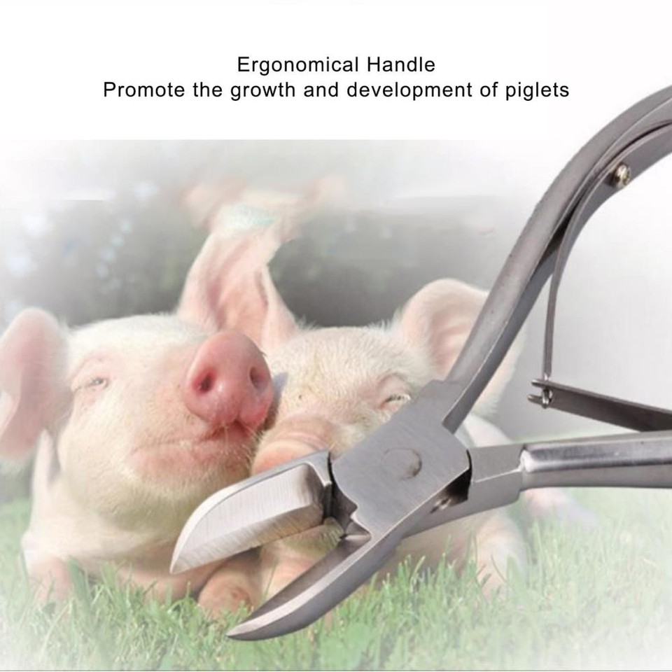 Piglet Teeth Cutter Elbow Stainless Steel Ergonomic Handle Piglets ...