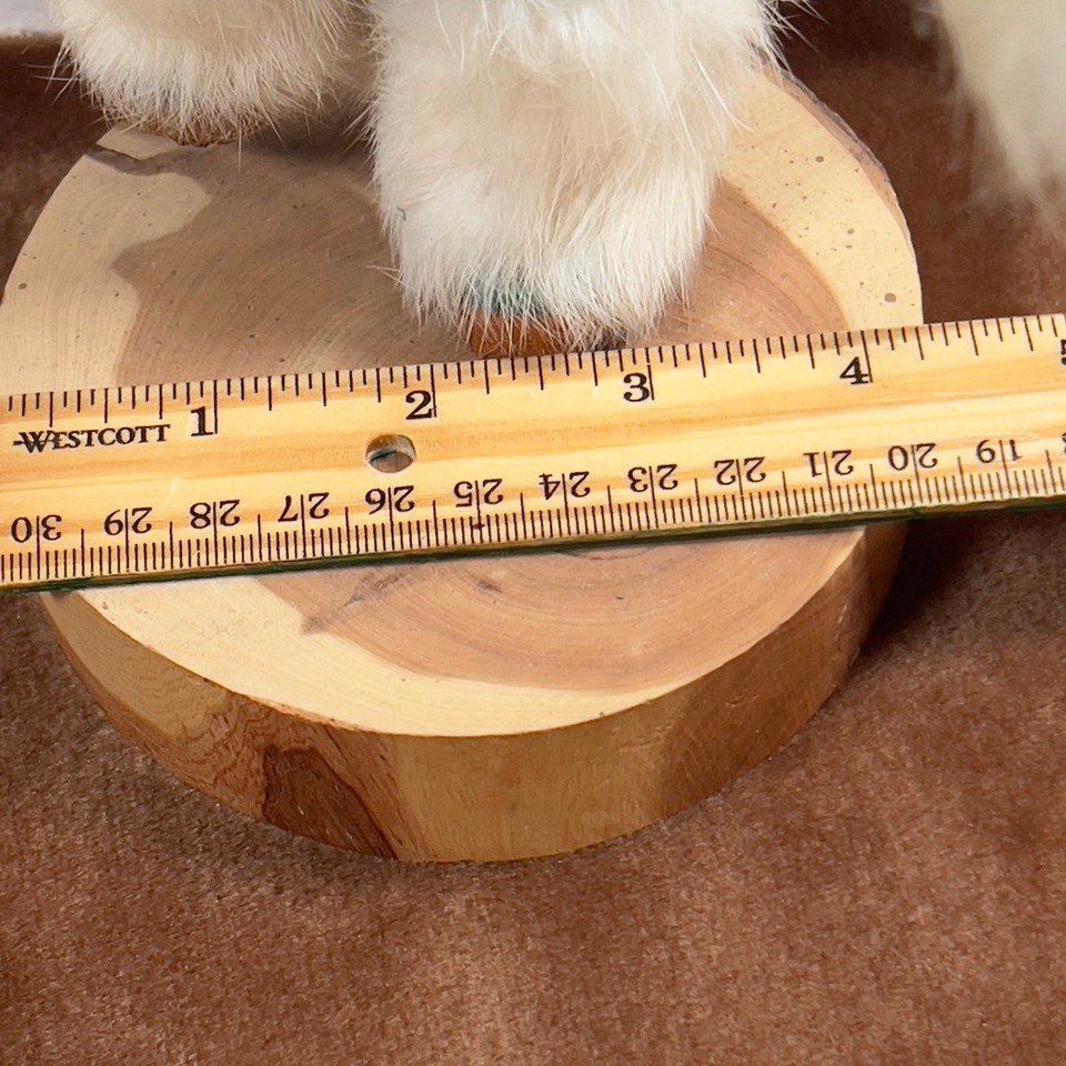 Native American Bear Kachina Navaho Spirit Handmade Wood Turquoise ...