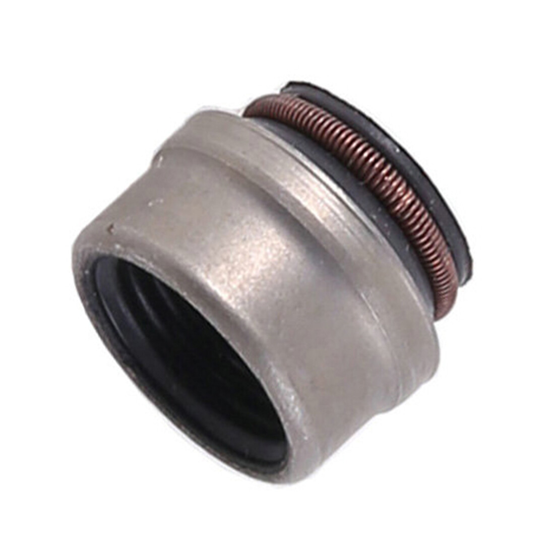 20PCS 6MM Valve Stem Oil Seals Set For VW Golf AUDI TT 036109675A | eBay