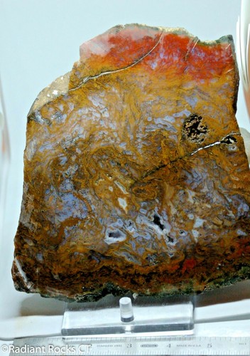 Maury Mountain Moss Agate Lapidary slab 19 oz (545 grams) | eBay