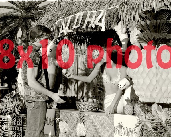 DYNASTY #317,MAXWELL CAULFIELD,grease 2,empire records,the colbys,8X10 ...