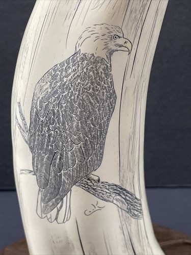 G.H. Cook Company Fine Art Sculpture FAUX Eagle Scrimshaw Walrus Tusk ...