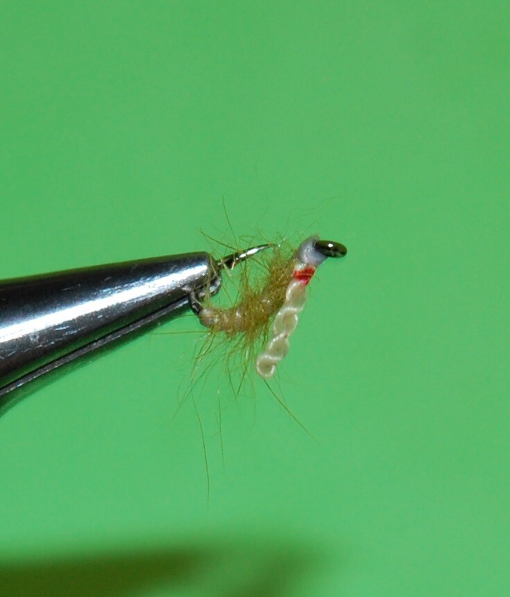 1 dozen (12) Nano Emerger - Life Stage Pupa - Sub Surface Fly - Tandem ...