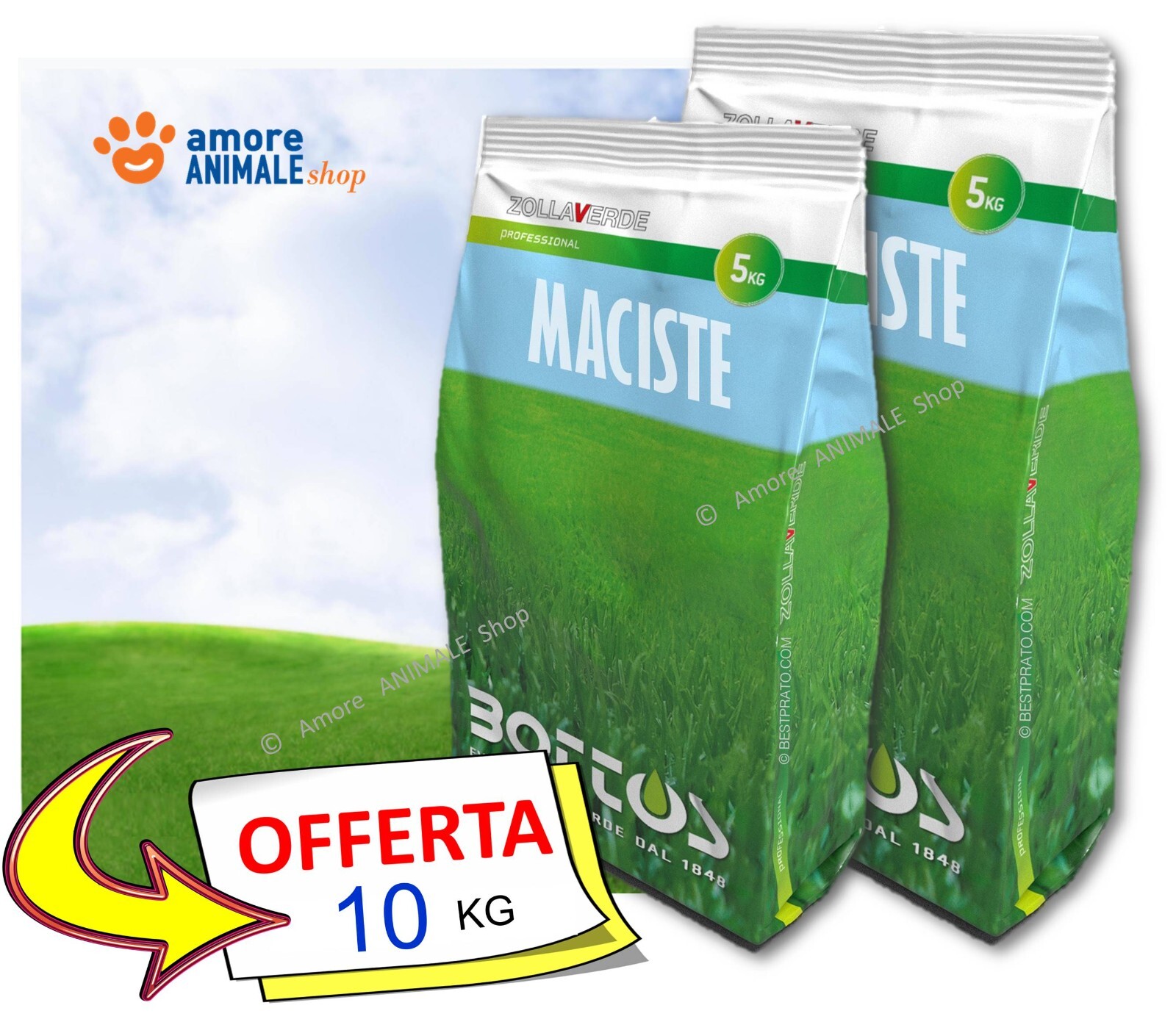 Bottos MACISTE → 1 / 5 / 10 / 20 kg - Sementi Per Tappeto Erboso, Prato ...