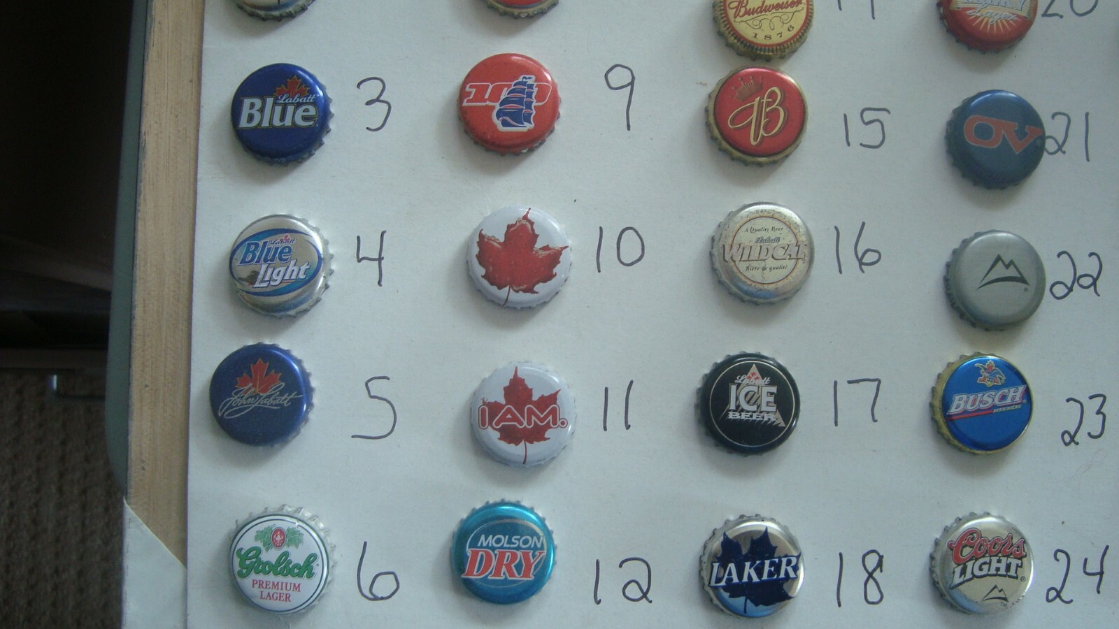 CRAFT OR COLLECT 16 BEER BOTTLE CAPS FROM CANADA LABATT MOLSON COORS OV ...