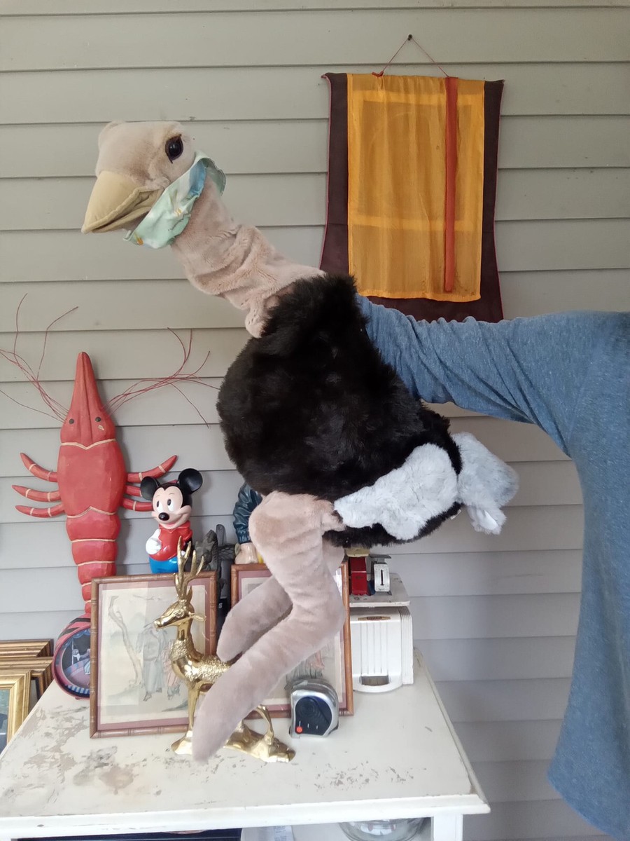 Ostrich Puppet Folkmanis Amazon.com: Folkmanis Emu Stage Puppet, Brown