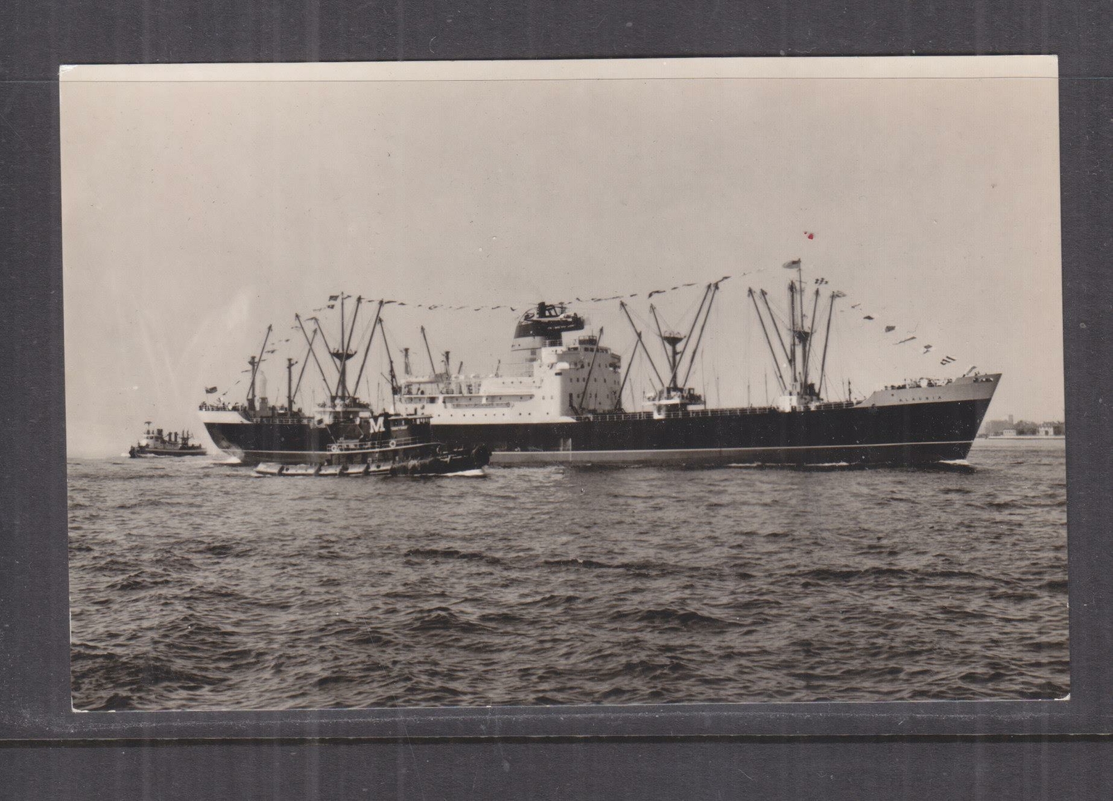 CUNARD LINE, " SS ALAUNIA " c1950 ppc., unused. | eBay