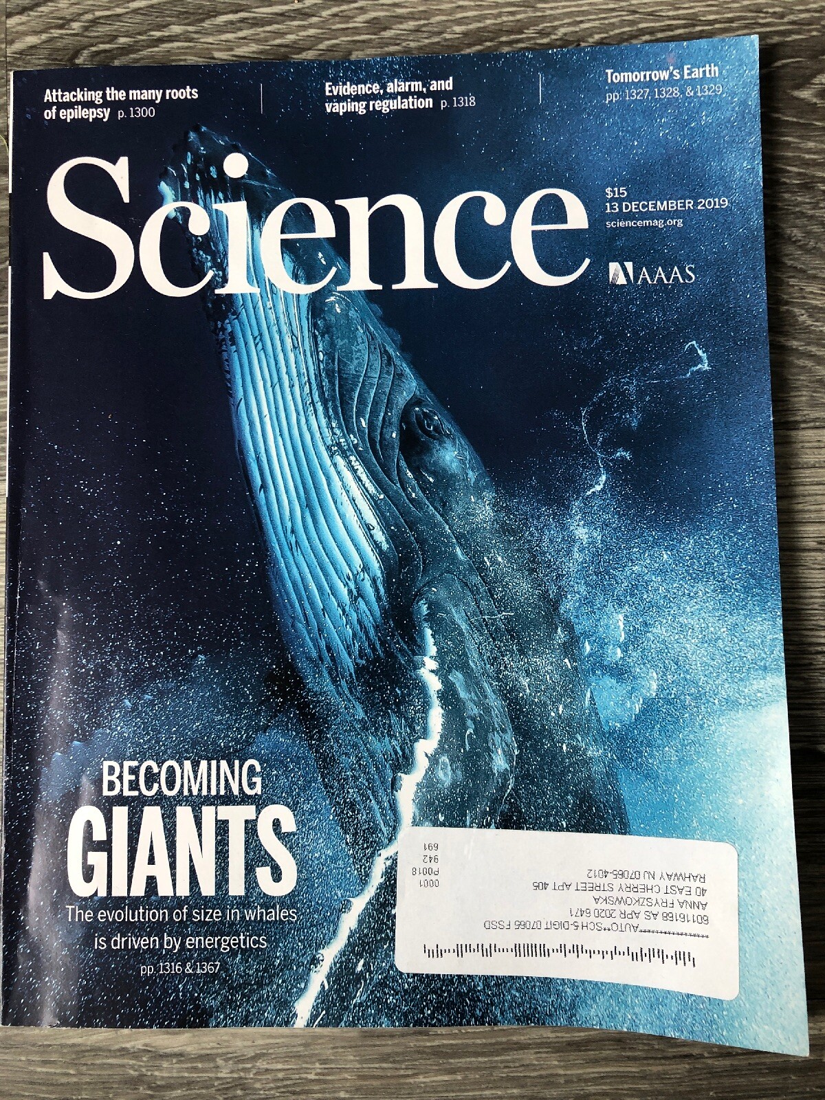 AAAS SCIENCE MAGAZINE 2019 13 December Vol 367 No 6471 Charitable ...