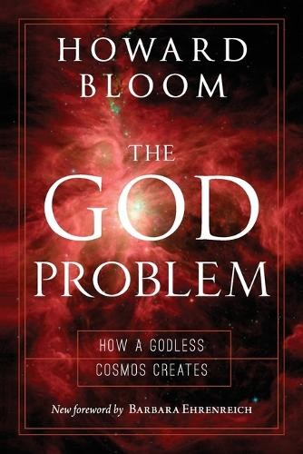 Howard Bloom The God Problem (Paperback) 9781633881426| eBay