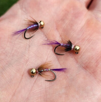 Dry - Purple Fly