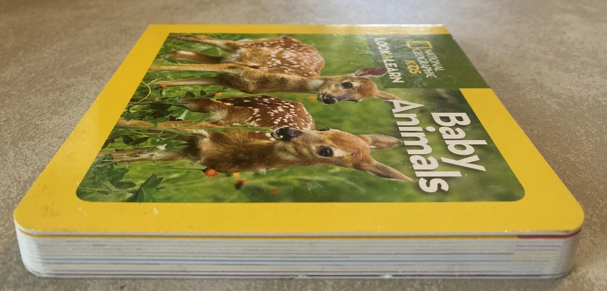 National Geographic Baby Animals