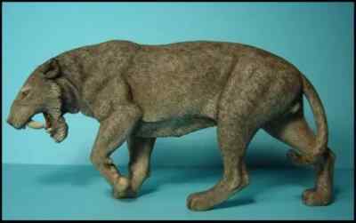 MACHAIRODUS PREHISTORIC SABER TOOTH CAT MODEL KIT | eBay