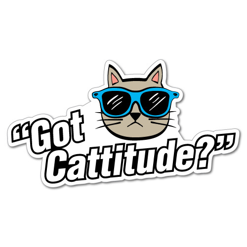 Got Cattitude Cat Funny Sticker Decal Stickers Pet Art Laptop #7495EN ...